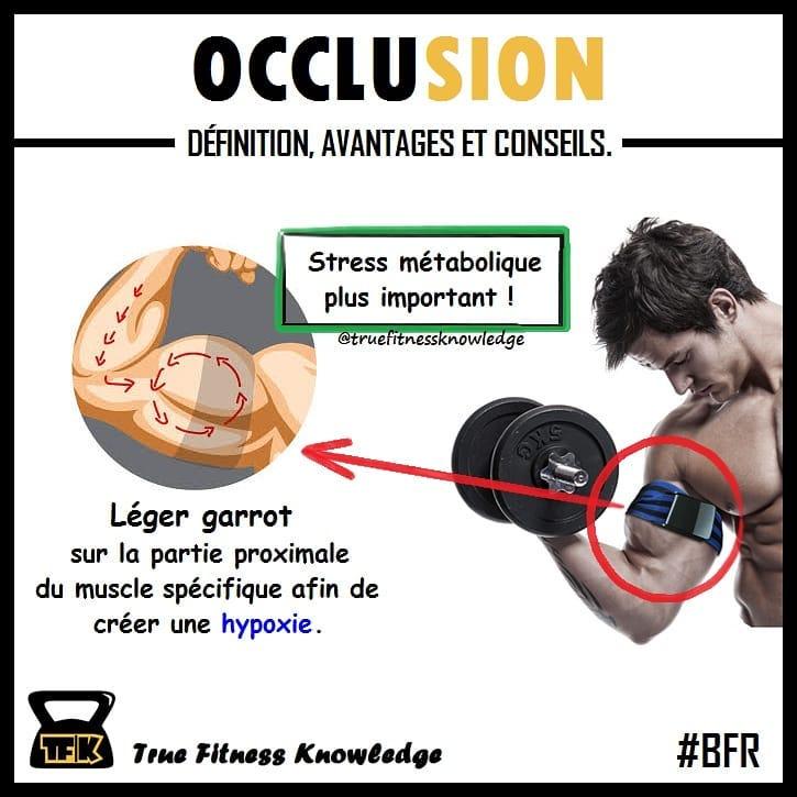 Croissance et musculation - True Fitness Knowledge