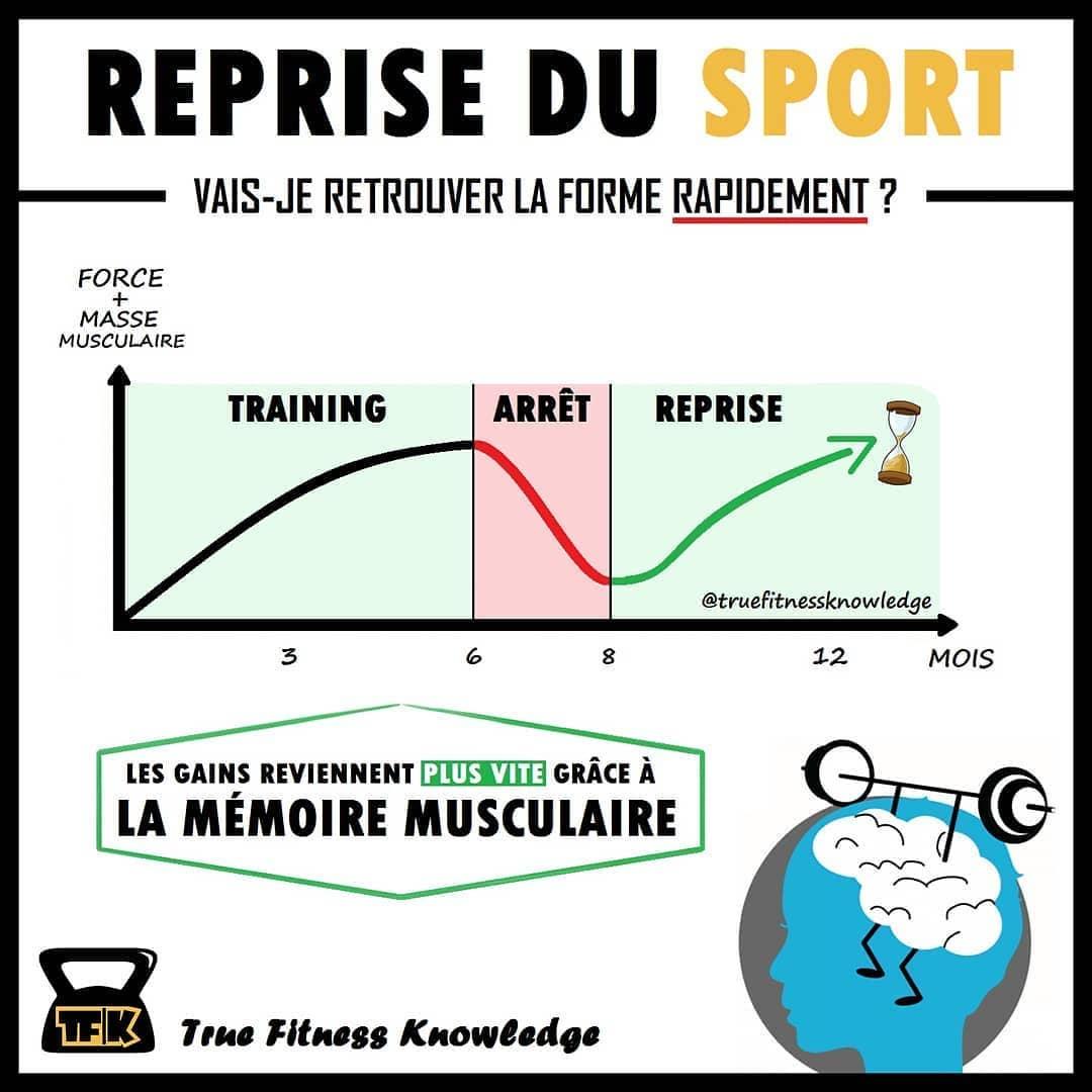 Croissance et musculation - True Fitness Knowledge