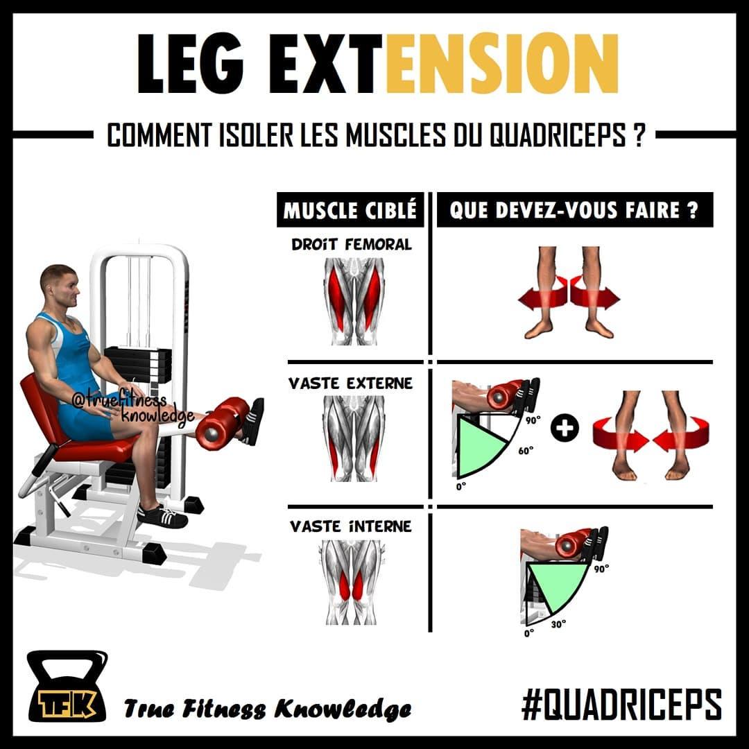 Croissance et musculation - True Fitness Knowledge