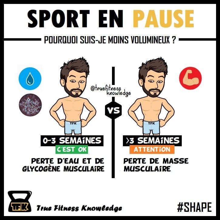 Croissance et musculation - True Fitness Knowledge