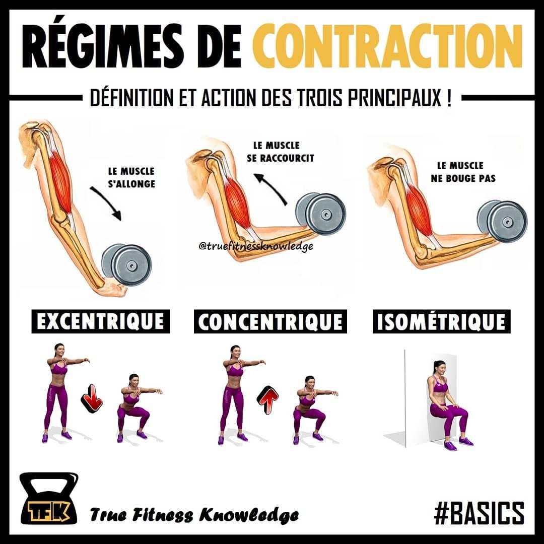 La bonne position au Tirage Horizontal - True Fitness Knowledge
