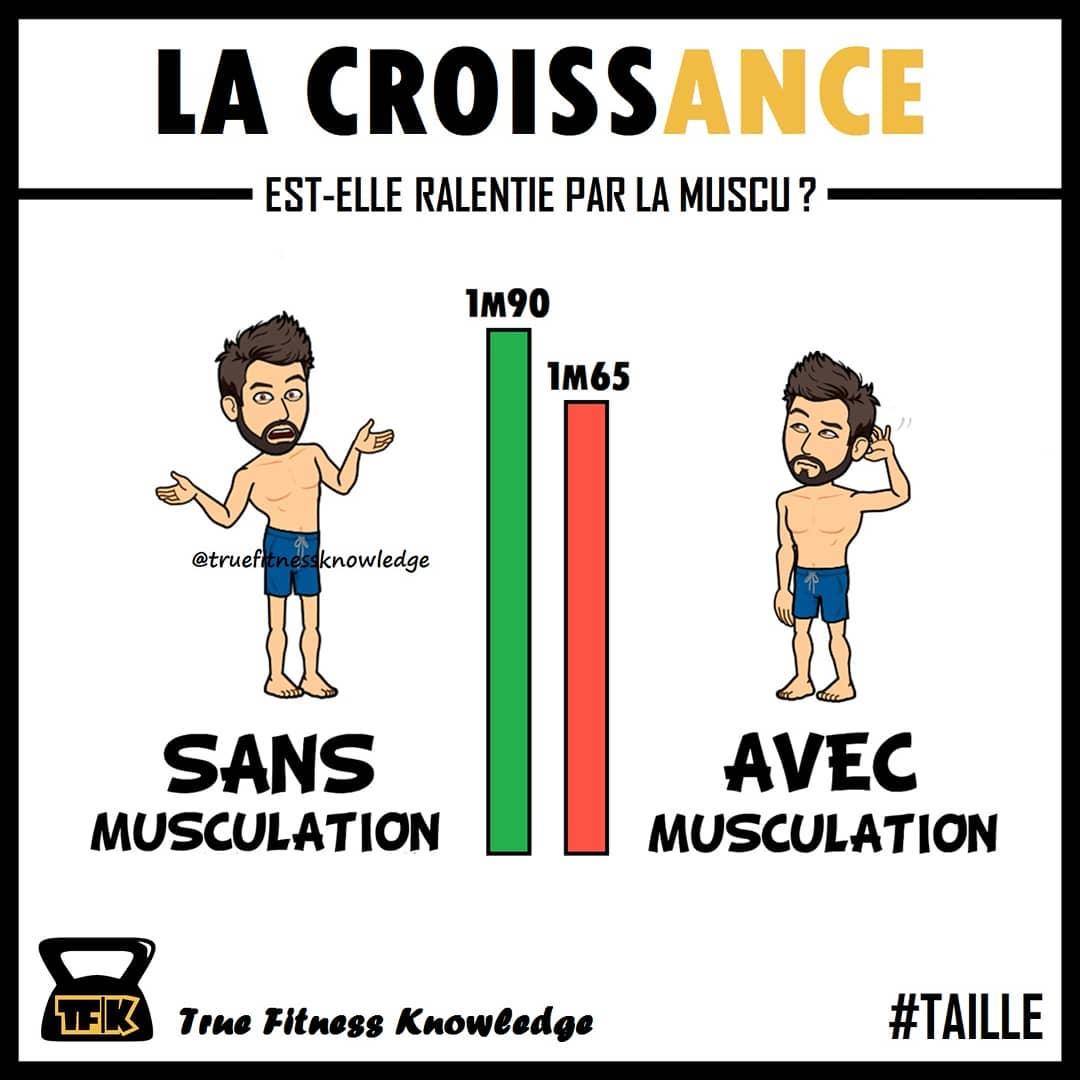 Croissance et musculation - True Fitness Knowledge
