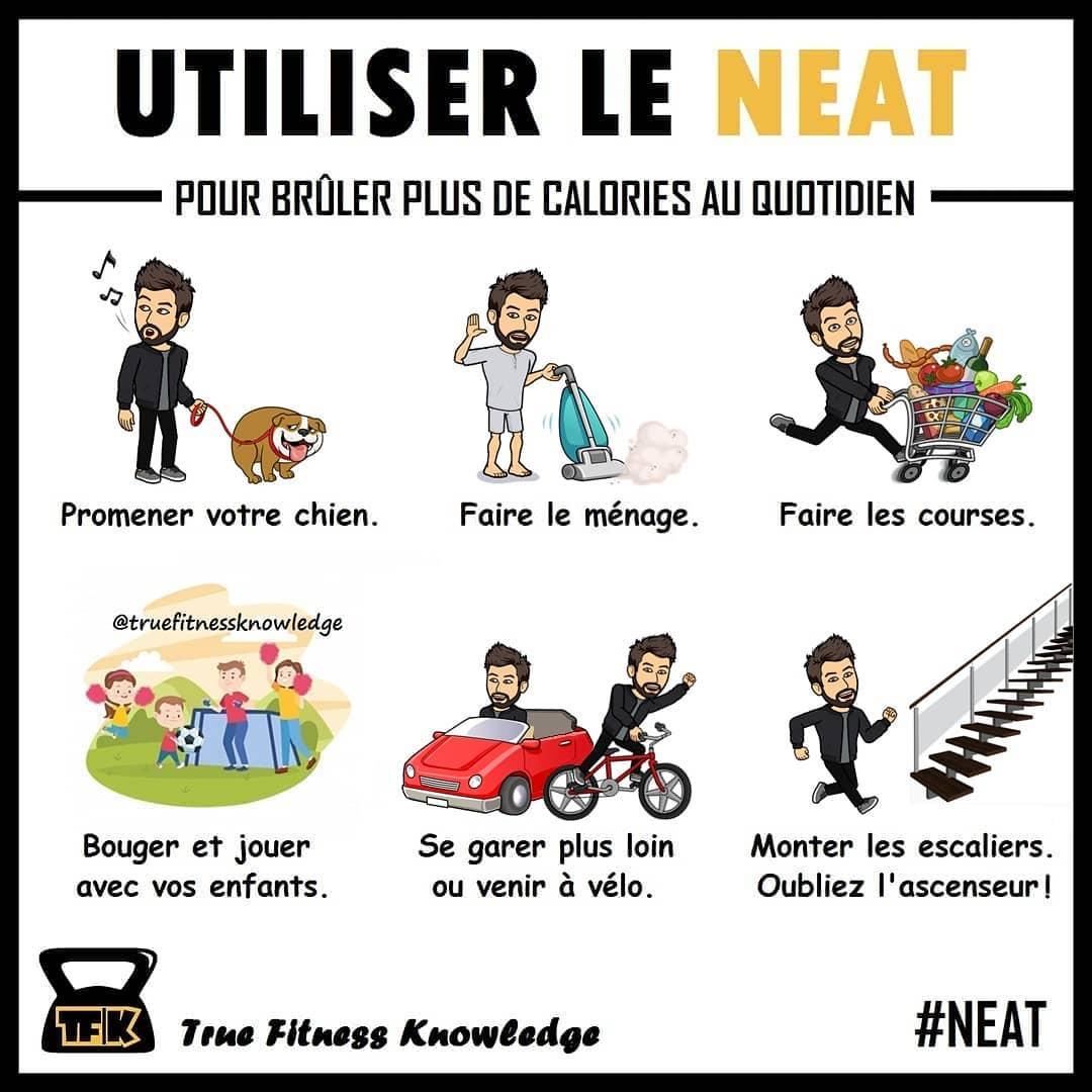 Le NEAT ! Définition et intérêt - True Fitness Knowledge
